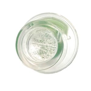 CPR Mask Replacement Valve | WNL Products